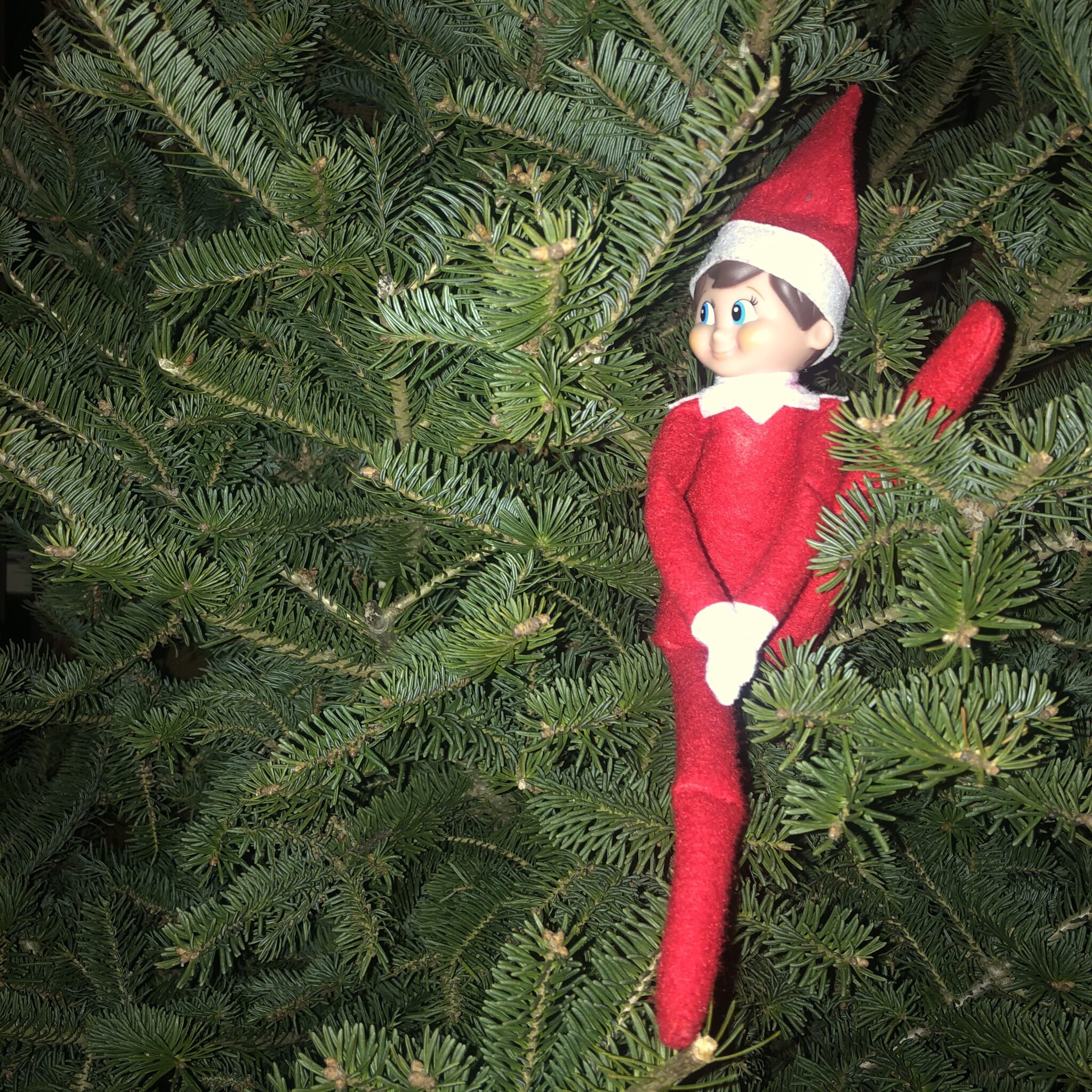 20+ Elf on a Shelf Ideas - simple and quick - Greater Lansing Area Moms