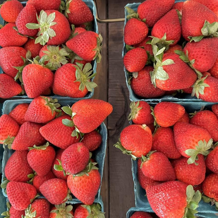 Local Farms with the Best Strawberry Picking In and Around South ...