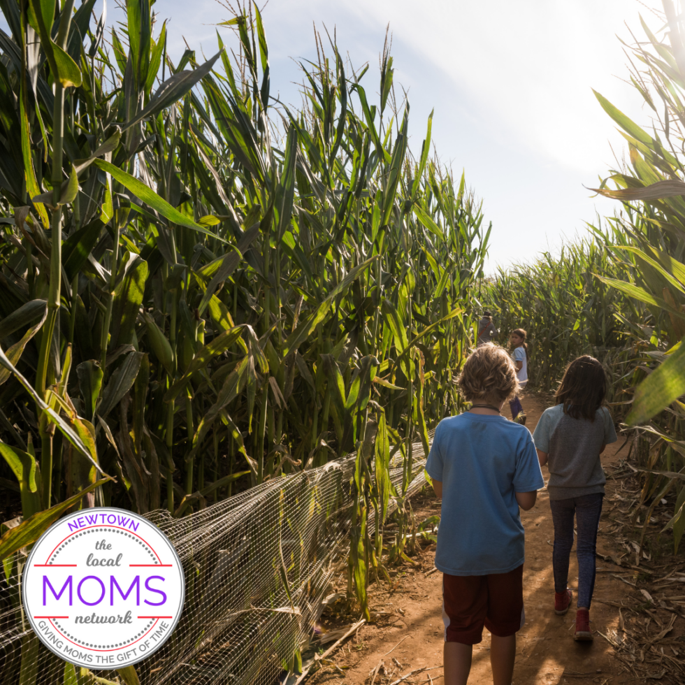 Local Corn Mazes In & Around Newtown - Newtown Moms