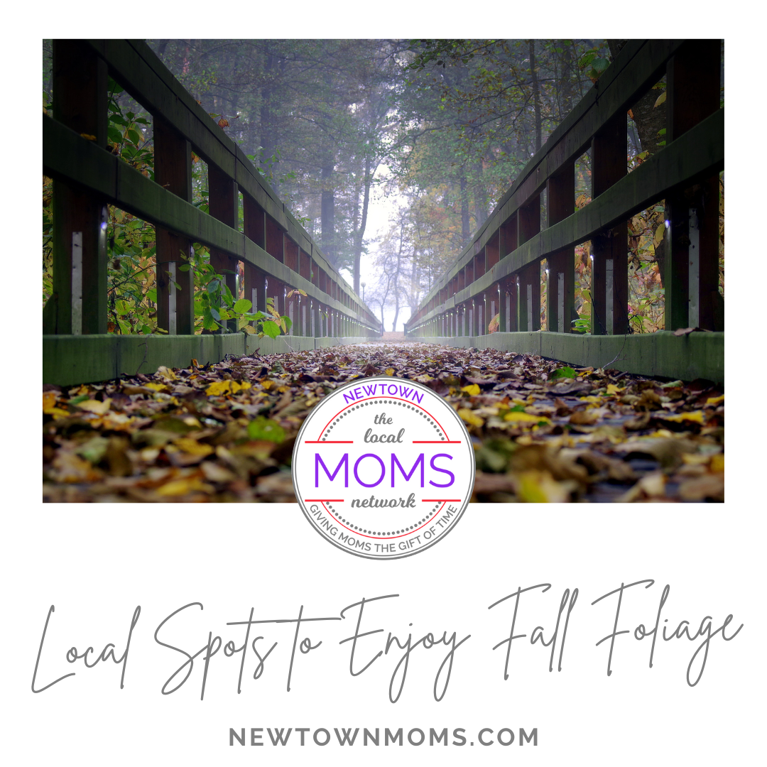 Best Spots to Enjoy the Fall Colors - Newtown Moms