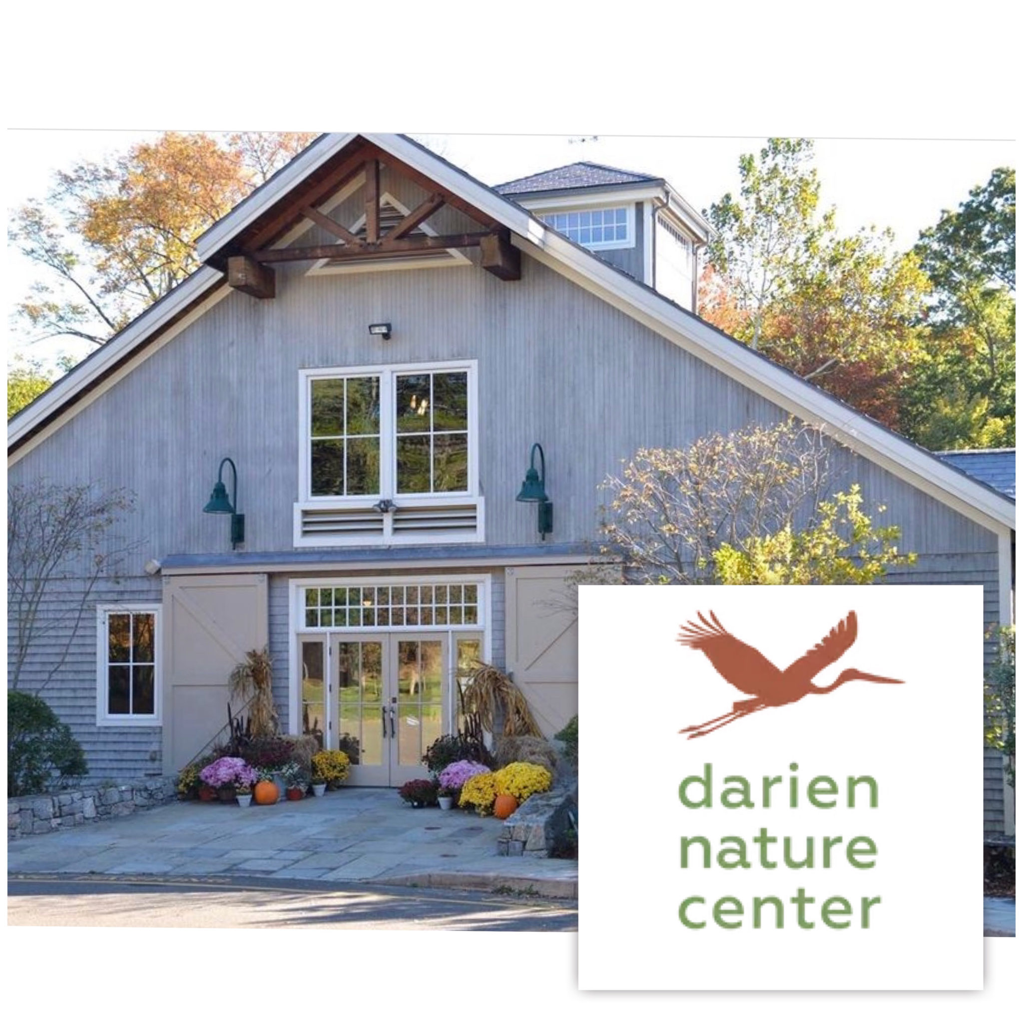Give Back in 2024! | New Canaan & Darien Moms