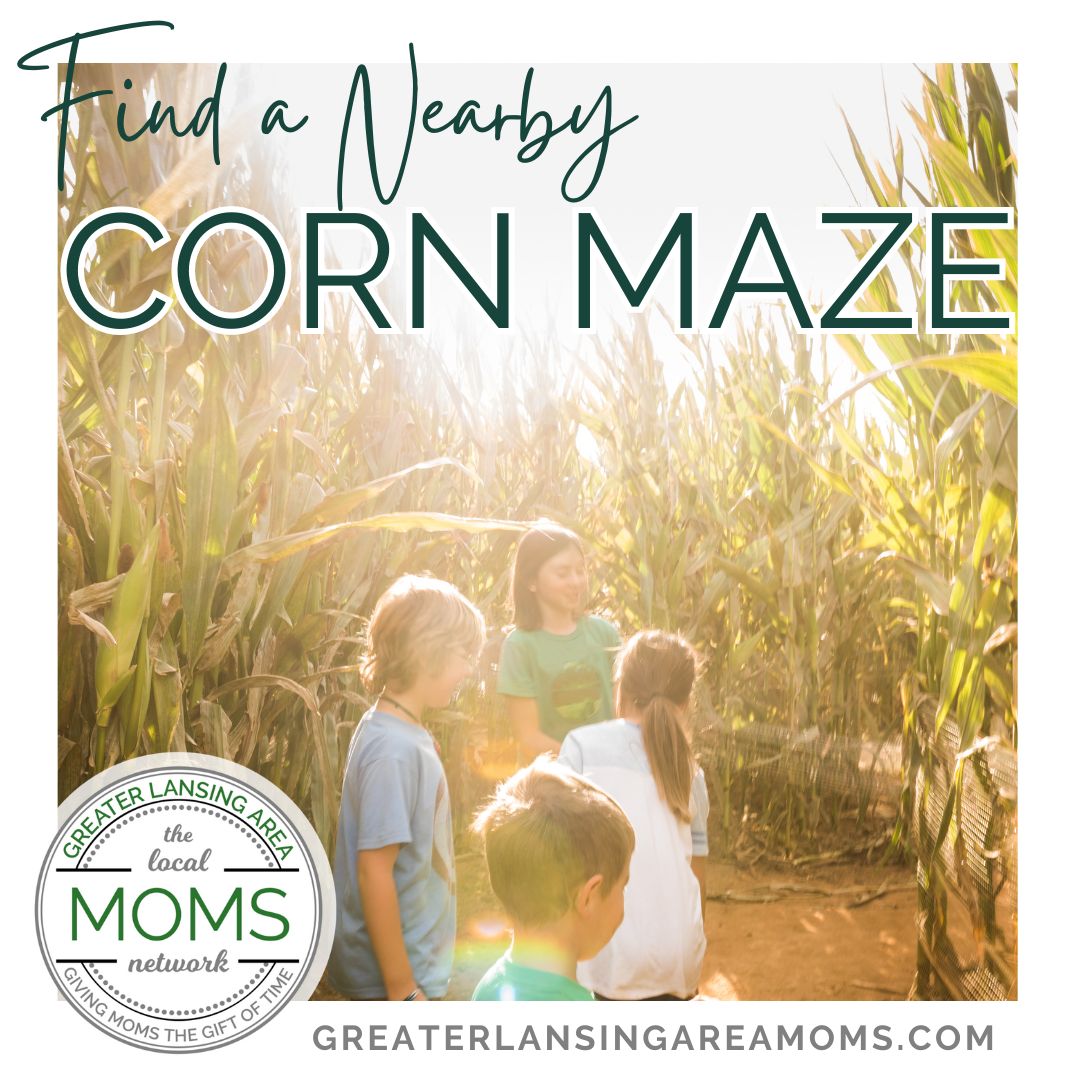 Corn Mazes in the Greater Lansing area! - Greater Lansing Area Moms