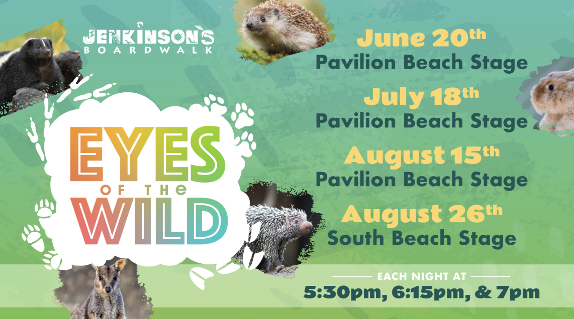 Eyes of the Wild Animal Show Jenkinson's Boardwalk - The Monmouth Moms
