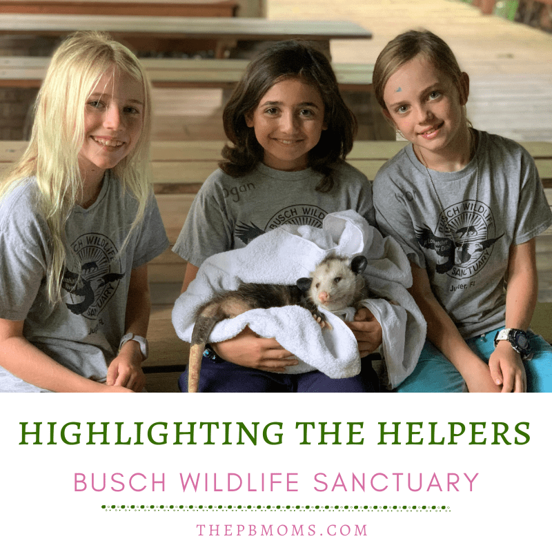 Highlighting the Helpers - Busch Wildlife Sanctuary - Palm Beach Moms