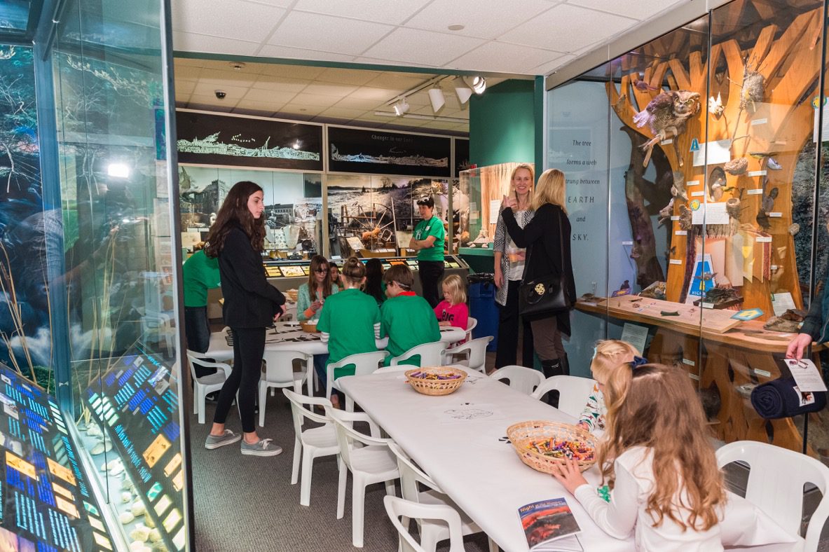 Night at the Museum: A Family Benefit - Greenwich Moms