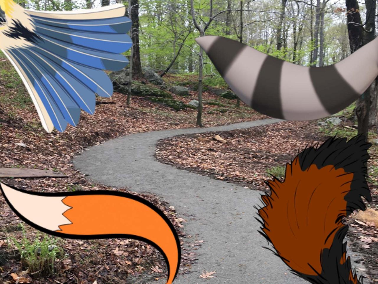 Animal Tale on a Trail: An Outdoor Storytelling Adventure - Greenwich Moms