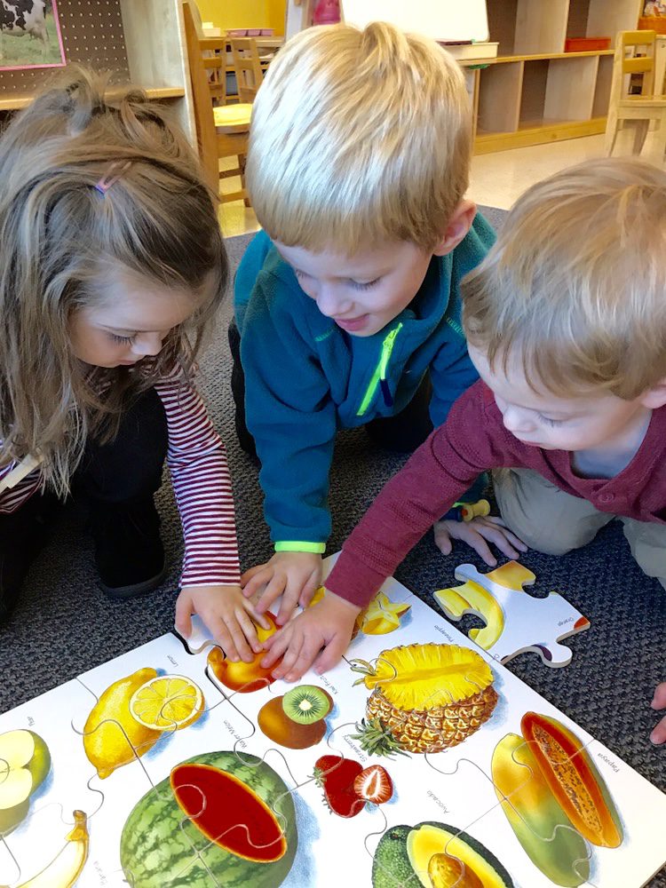 Early Childhood Exploration at Whitby School - Greenwich Moms