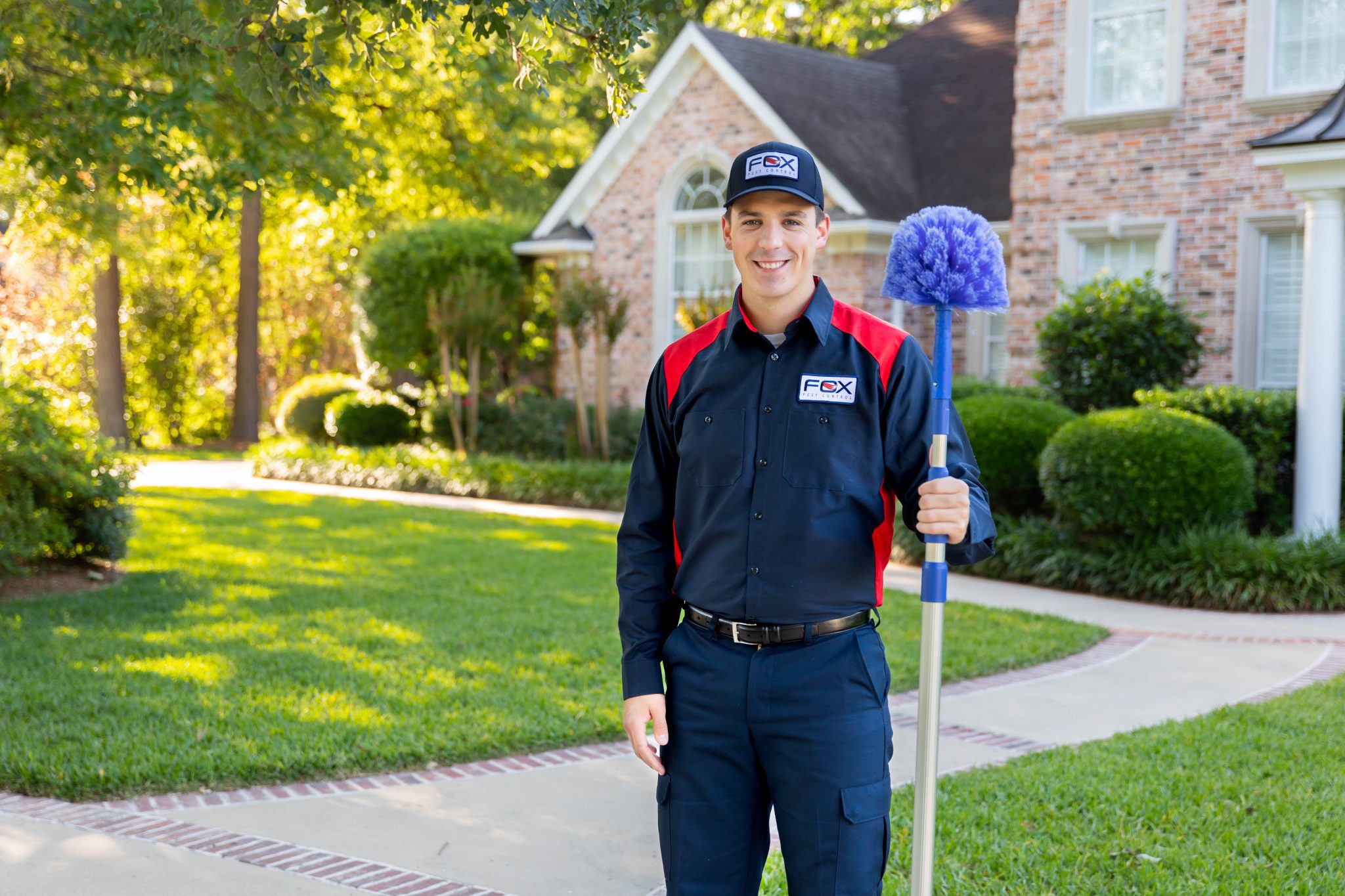 Fox Pest Control: For A Happier Summer at Home! - Greenwich Moms