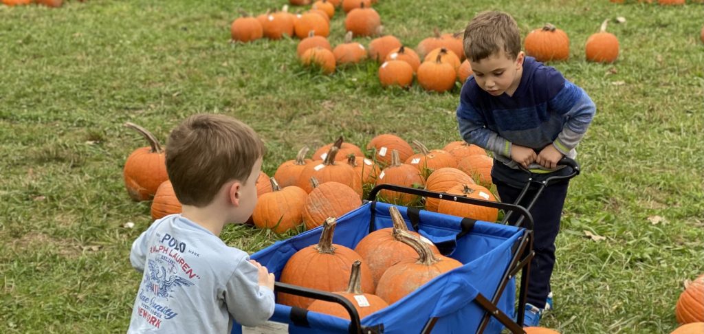 Pumpkin Picking Season is Here! - Greenwich Moms