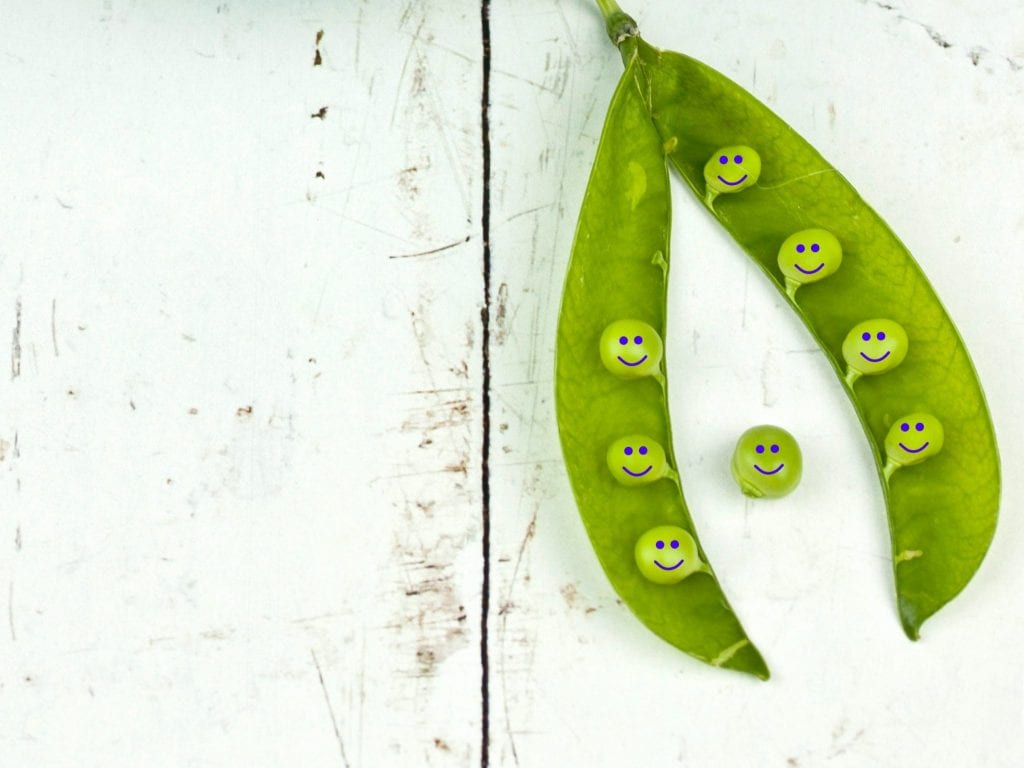 3 Things To Know About Forming A Learning POD - West University Moms