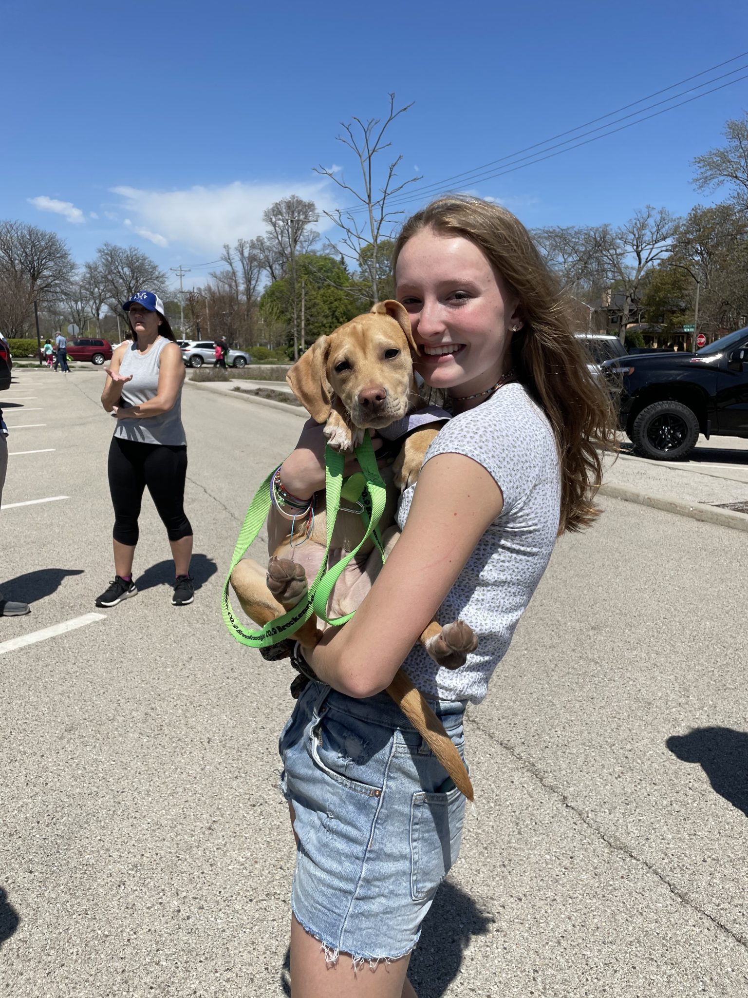 North Shore Nonprofit: Spotlight on Paws for Patrick - Chicago North ...