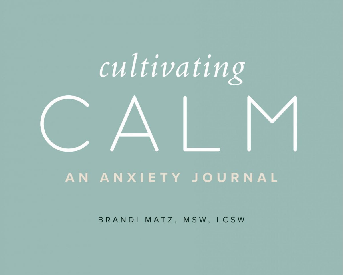 Meet a Mom, Author- Brandi Matz - Ridgefield Moms