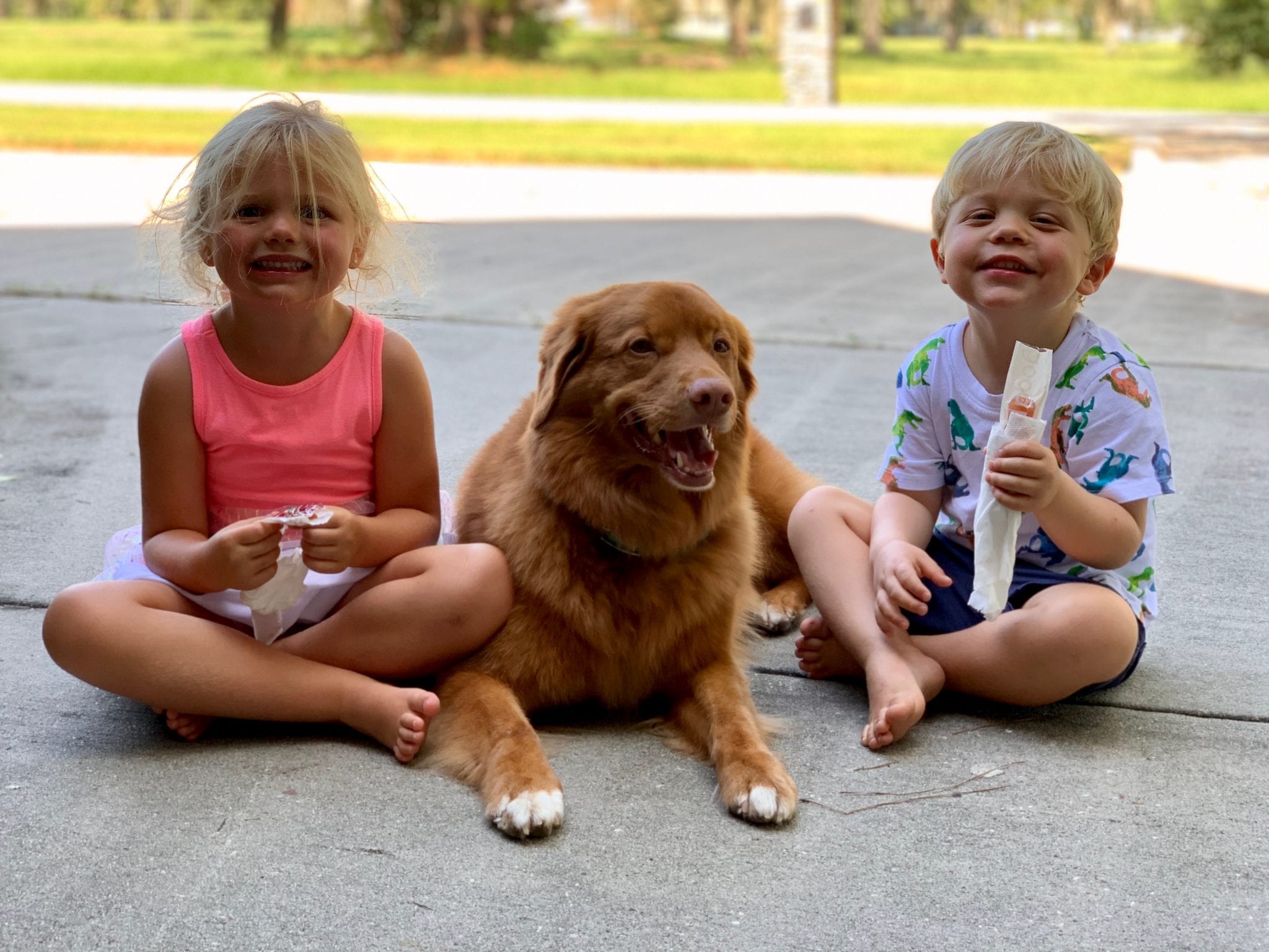 Meet A Mom: Chelsea Robbins McGhinnis - Kingwood Moms