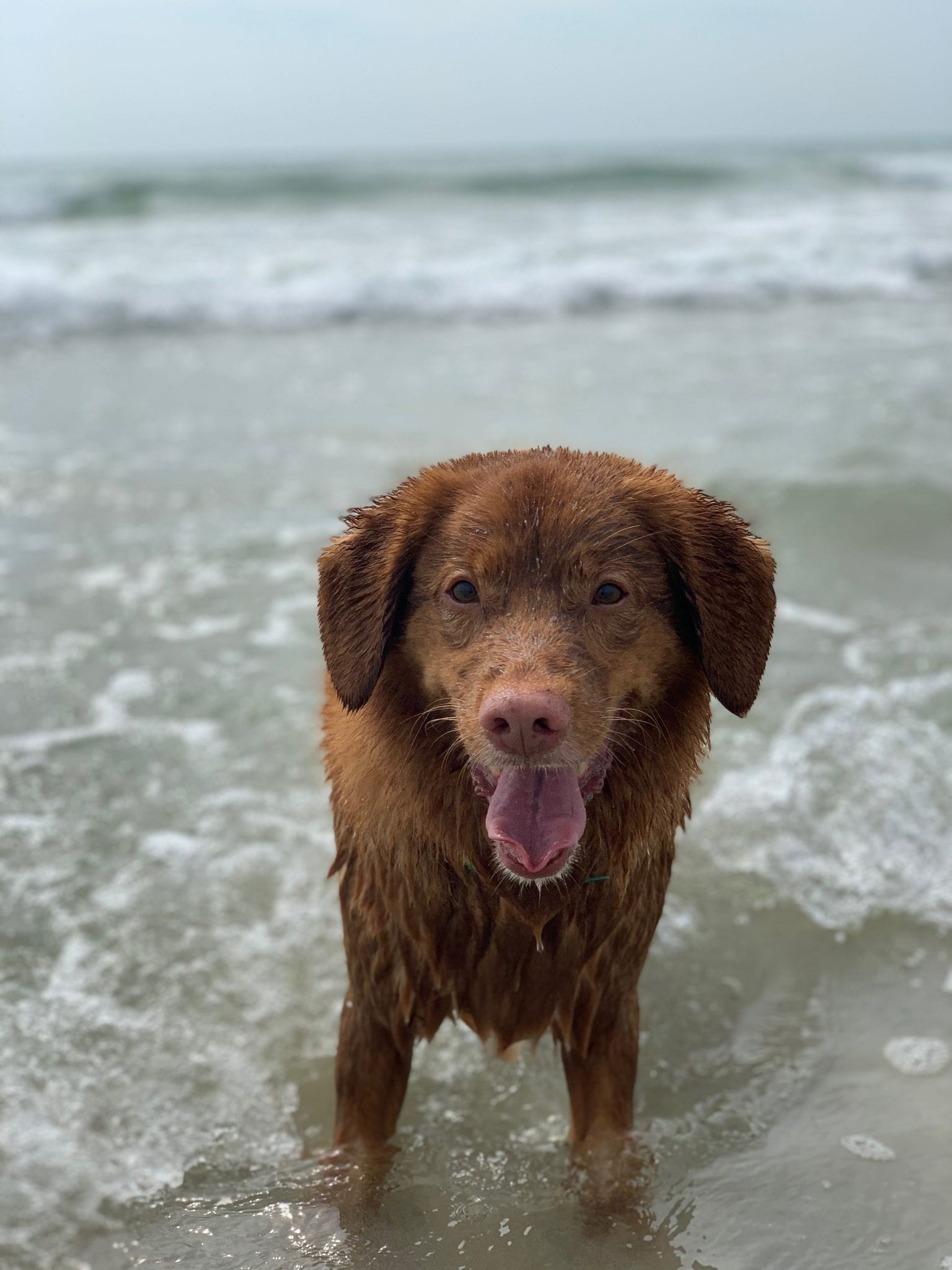 Meet A Mom: Chelsea Robbins McGhinnis - Kingwood Moms